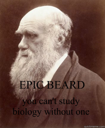 Epic Beard memes | quickmeme