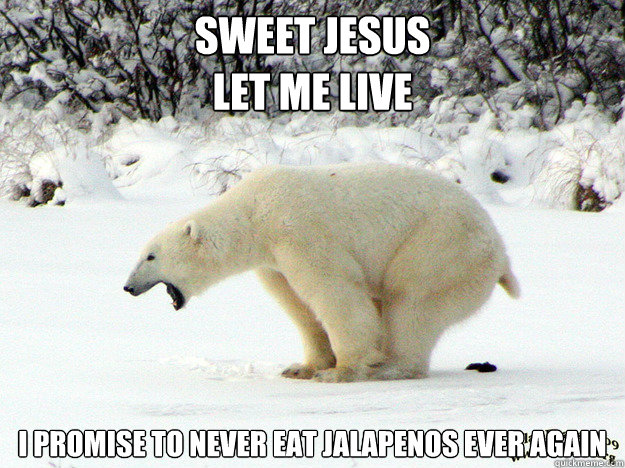 SWEET JESUS LET ME LIVE I PROMISE TO NEVER EAT JALAPENOS EVER AGAIN - Worst Shit Polar Bear ...