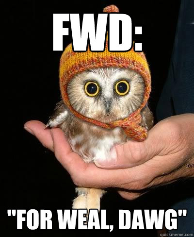 FWD: "FOR WEAL, DAWG" - Snopeless Owl - quickmeme