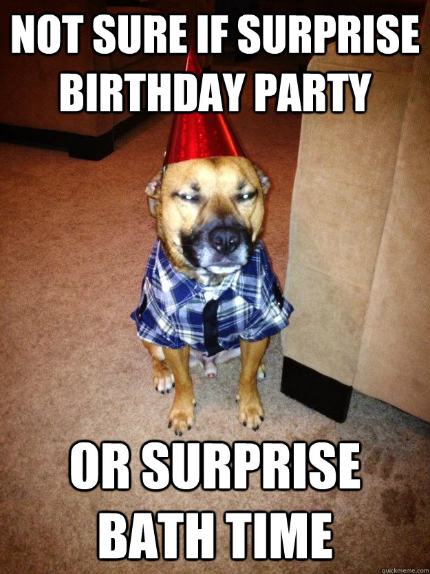 not sure if surprise birthday party or surprise bath time - Misc - quickmeme