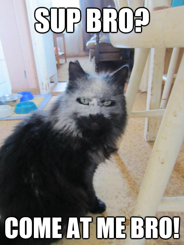 sup bro? come at me bro! - Misc - quickmeme