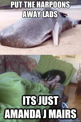 put the harpoons away lads Its just Amanda J Mairs - Misc - quickmeme