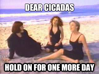 Dear Cicadas Hold on for one more day - Wilson Phillips - quickmeme