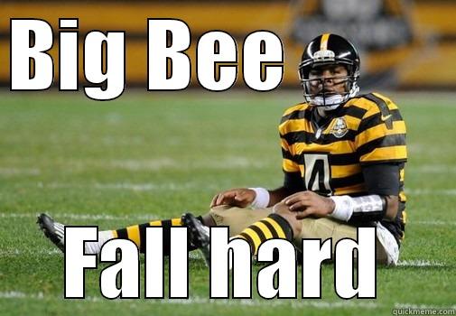 Steelers Bee - quickmeme