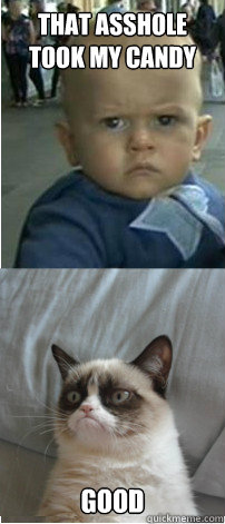 that asshole took my candy Good - Grumpy Cat has no love for Grumpy Baby - quickmeme