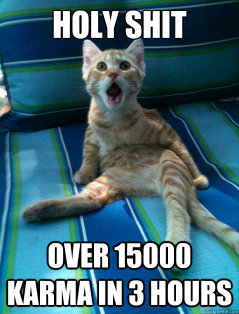 Holy Shit over 15000 karma in 3 hours - SURPRISED CAT CARLA - quickmeme