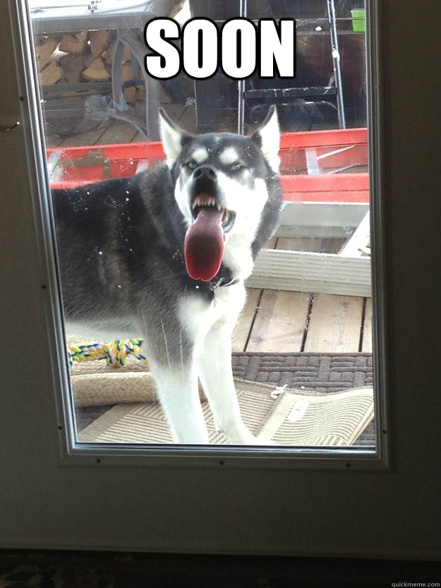 poon - Misc - quickmeme