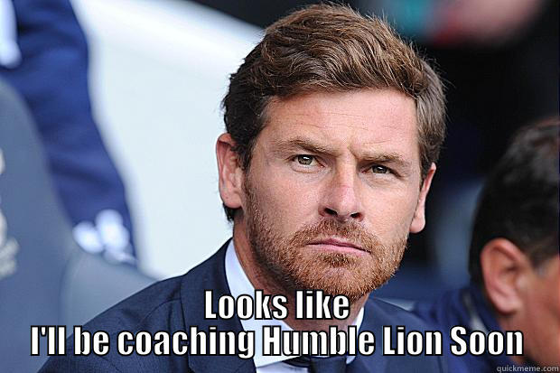 Coaching Humble Lion - quickmeme