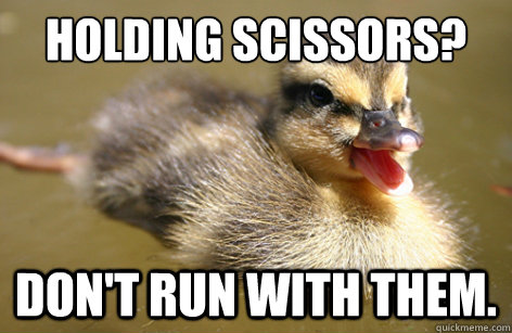 holding scissors? don't run with them. - Adolescent Advice Mallard - quickmeme