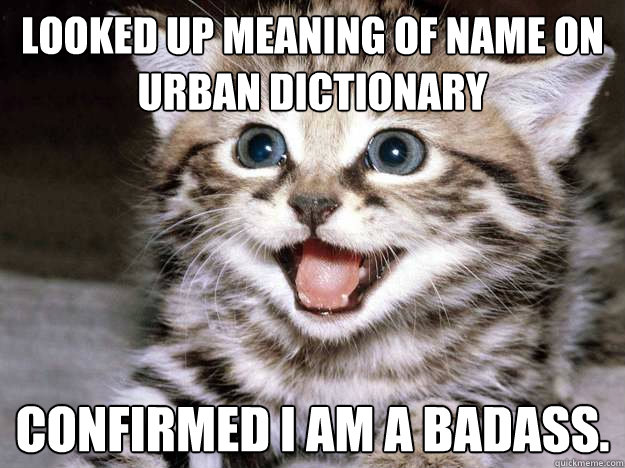 Looked Up Meaning Of Name On Urban Dictionary Confirmed I Am A Badass looked-up-meaning-of-name-on-urban-dictionary-confirmed-i-am-a-badass