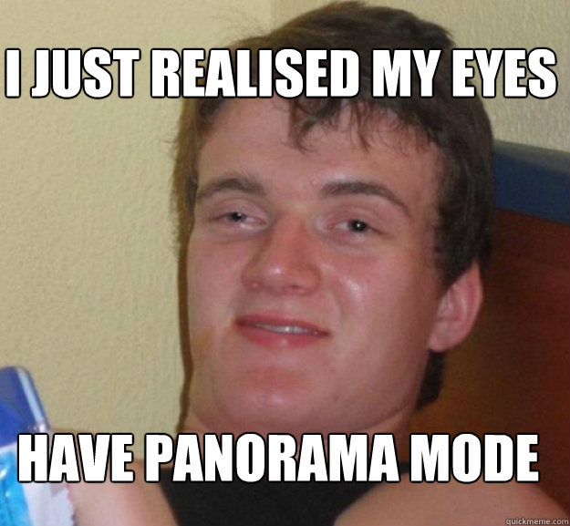 I just realised my eyes have panorama mode - ten guy - quickmeme