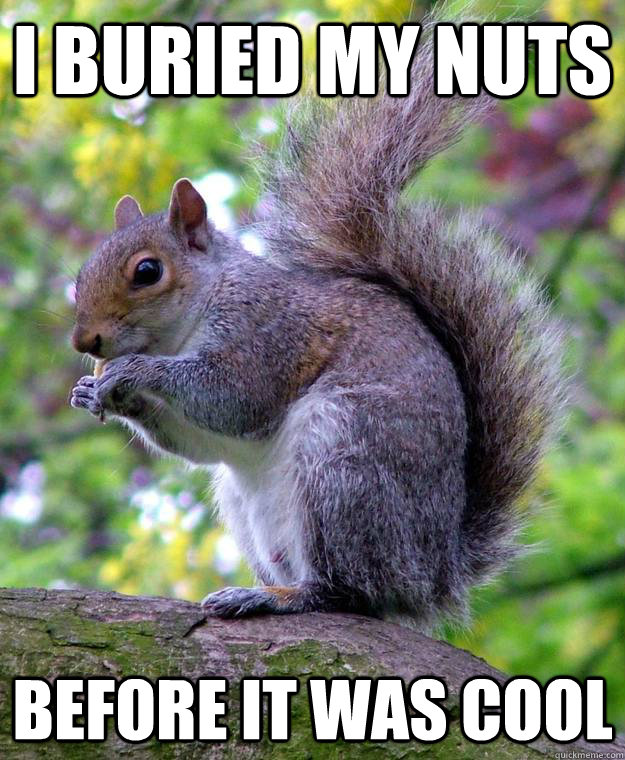 I buried my nuts Before it was cool - Hipster squirrel - quickmeme