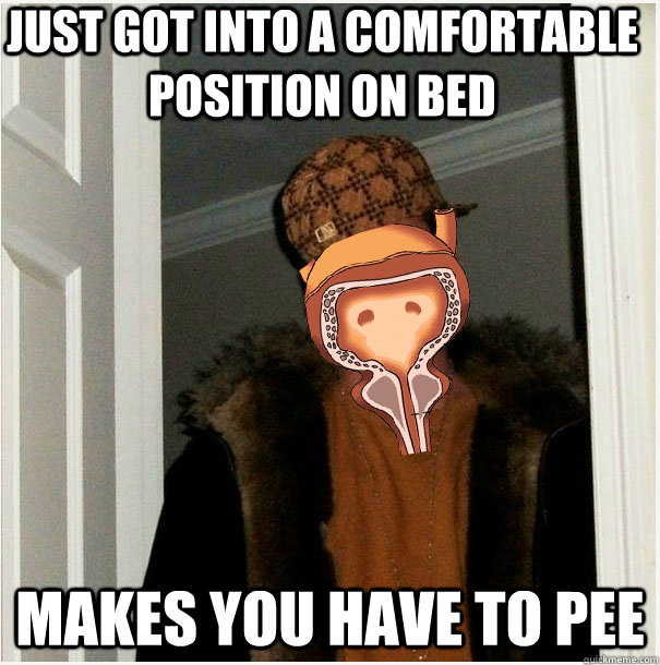 just got into a comfortable position on bed makes you have to pee - Scumbag Bladder - quickmeme