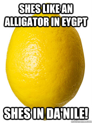 Shes like an alligator in Eygpt Shes in Da'Nile! - Misc - quickmeme
