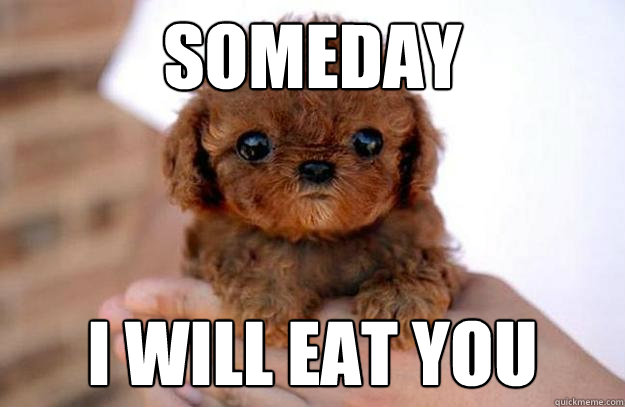 Someday I will eat you - Cute doggie - quickmeme