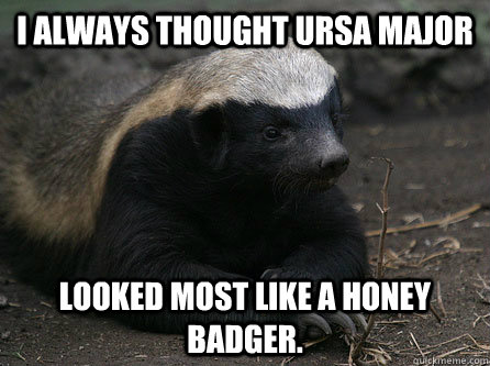 I always thought Ursa Major looked most like a honey badger. - Confession Badger - quickmeme