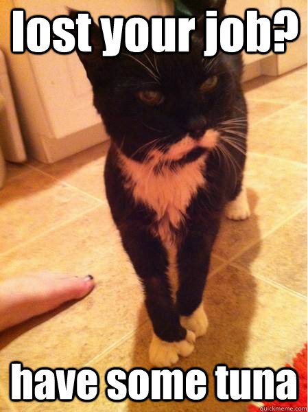 lost your job? have some tuna - Wise Cat - quickmeme