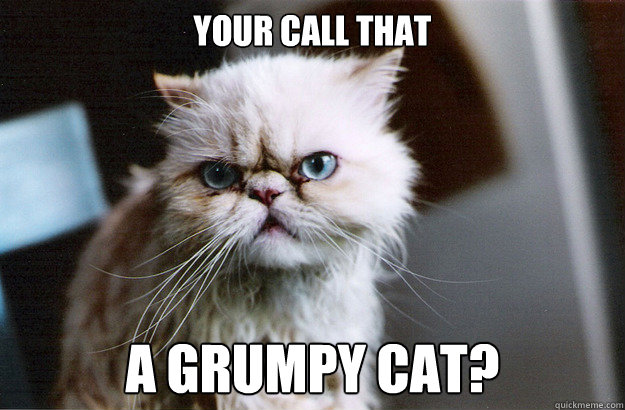 Your call that a grumpy cat? - Misc - quickmeme