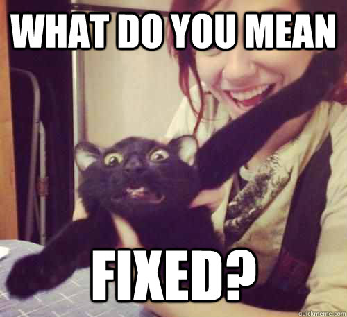 What do you mean Fixed? - My Cat is Going to the Vet Today - quickmeme