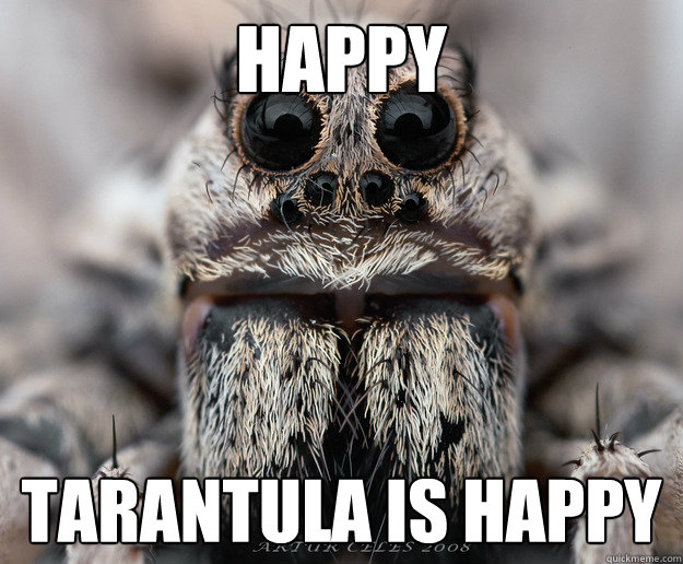 happy tarantula is happy - Misc - quickmeme