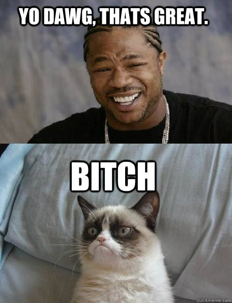yo dawg, thats great. bitch - grumpy cat xzibit - quickmeme