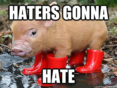 Haters gonna Hate - Pig in Boots - quickmeme