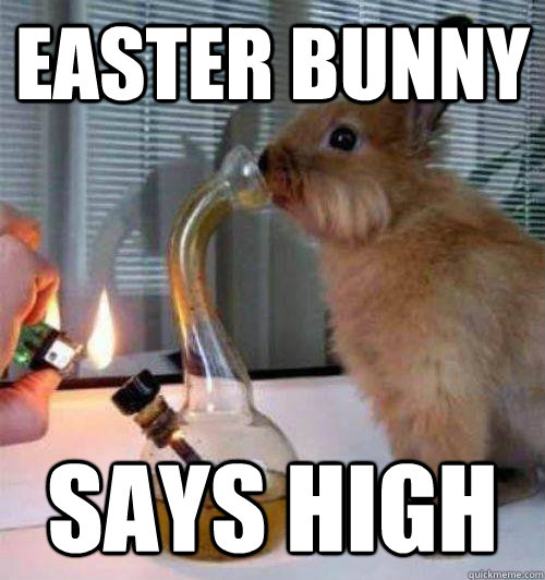 toker bunny memes | quickmeme