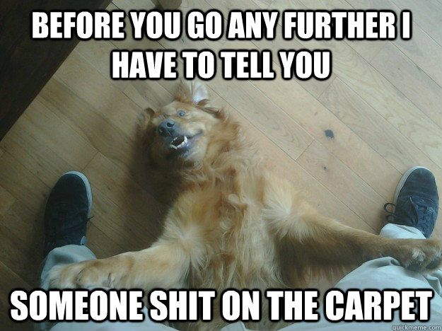 Before you go any further i have to tell you someone shit on the carpet - Urgent Dog - quickmeme