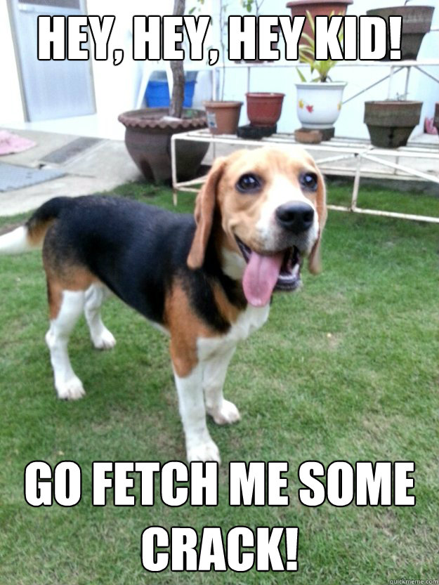 bad influence beagle memes | quickmeme