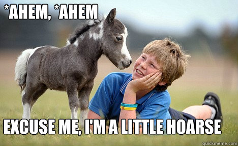 *Ahem, *Ahem Excuse me, I'm a little Hoarse - Misc - quickmeme