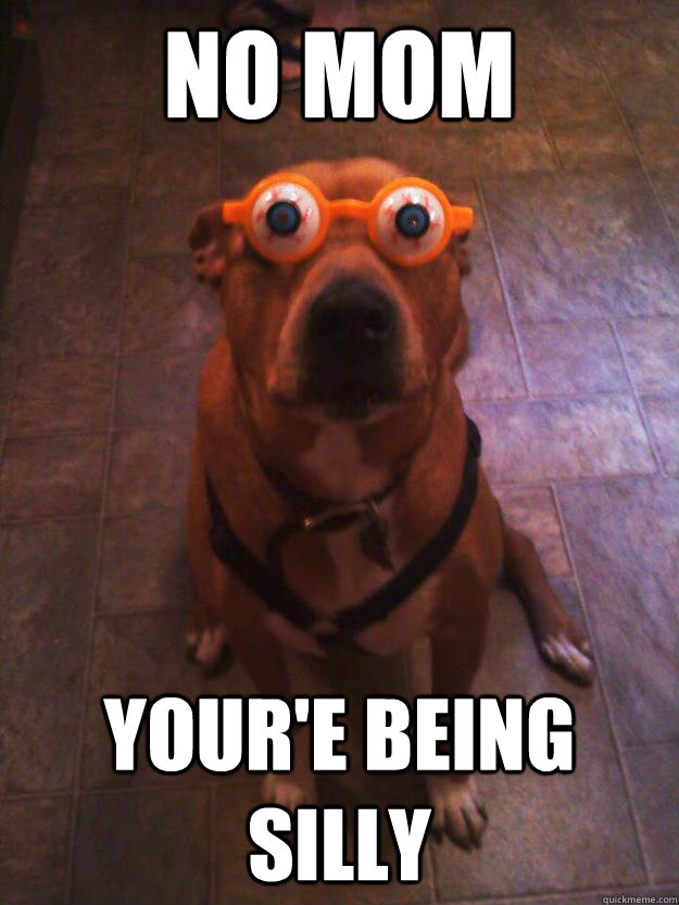 No mom Your'e being silly - Misc - quickmeme