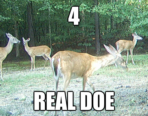 4 REAL DOE - 4 real doe - quickmeme