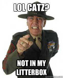 LOL catz? Not in my litterbox - not with that attitude - quickmeme