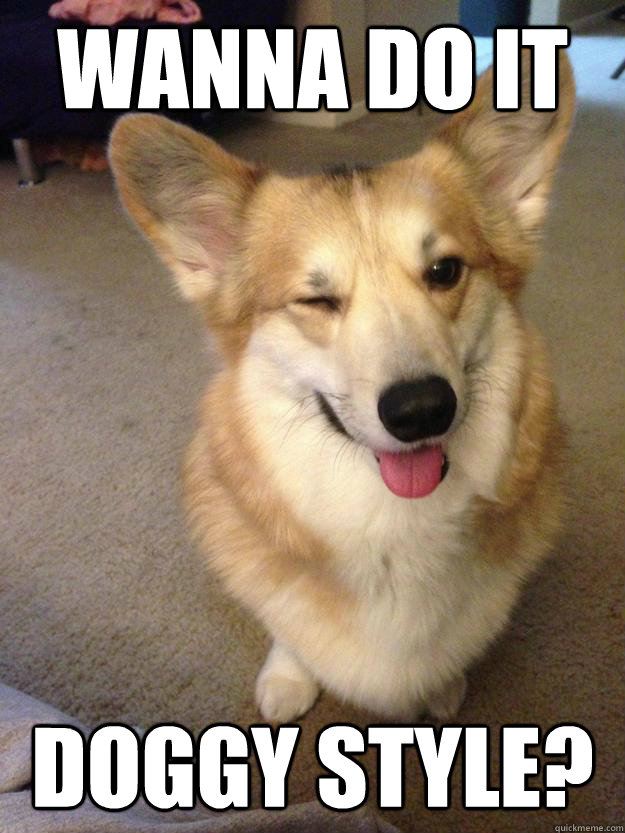 Wanna do it Doggy Style? - Winking Corgi - quickmeme