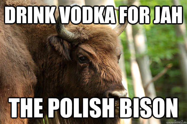 drink vodka for jah the Polish Bison - Misc - quickmeme