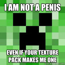 I am not a penis Even if your texture pack makes me one - Misc - quickmeme