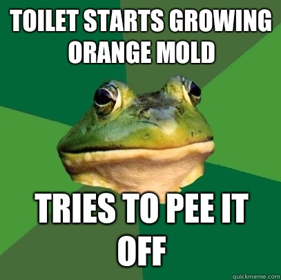 Toilet starts growing orange mold Tries to pee it off - Foul Bachelor Frog - quickmeme