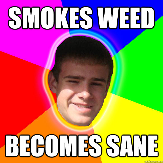 Smokes weed Becomes Sane - Odd Best Friend - quickmeme
