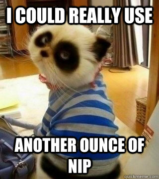 I could really use another ounce of nip - Confession Cat - quickmeme