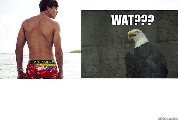 Ashamed eagle memes | quickmeme