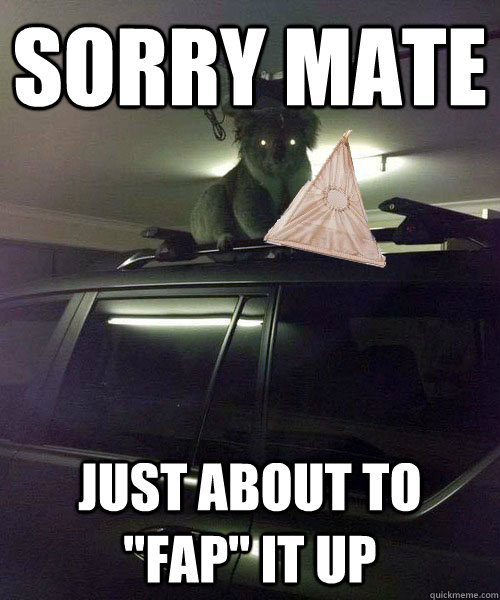 Sorry mate just about to "fap" it up - fap down under - quickmeme