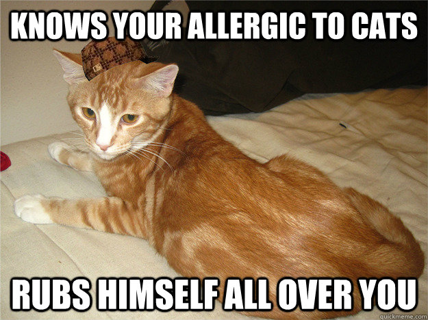 knows your allergic to cats rubs himself all over you - Scumbag Cilantro - quickmeme