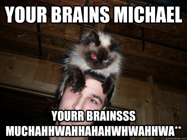 YOUR BRAINS MICHAEL YOURR BRAINSSS MUCHAHHWAHHAHAHWHWAHHWA** - Misc - quickmeme