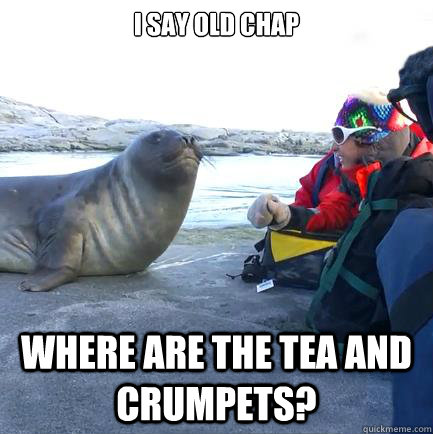 I say old Chap Where are the tea and crumpets? - High Class Walrus - quickmeme