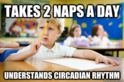 Takes 2 naps a day Understands circadian rhythm - ELI5 KID - quickmeme