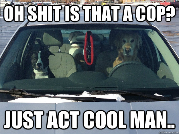 Oh shit is that a cop? Just act cool man.. - Misc - quickmeme