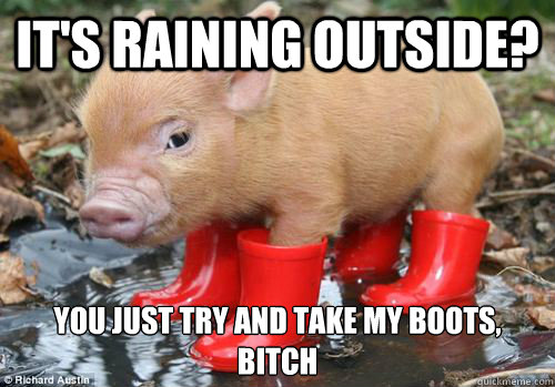 It's raining outside? You just try and take my boots, bitch - Wellie Boot Pig - quickmeme