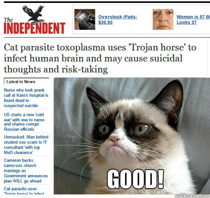 - Grumpy Cat Glad - quickmeme