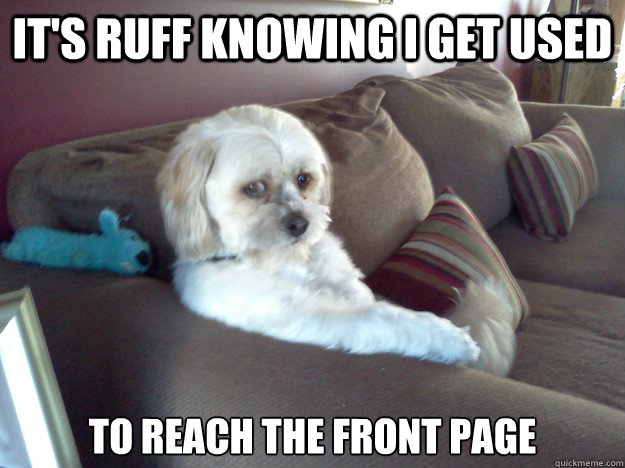It's ruff knowing I get used to reach the front page - Worry Mutt - quickmeme