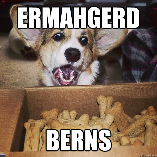 Ermahgerd Berns - Misc - quickmeme